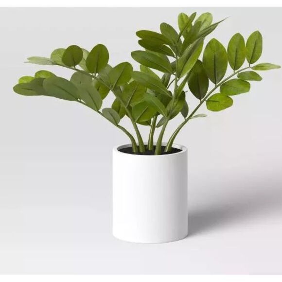 Threshold | Accents | Threshold Tabletop Arrangement 5 Zamioculcas ...